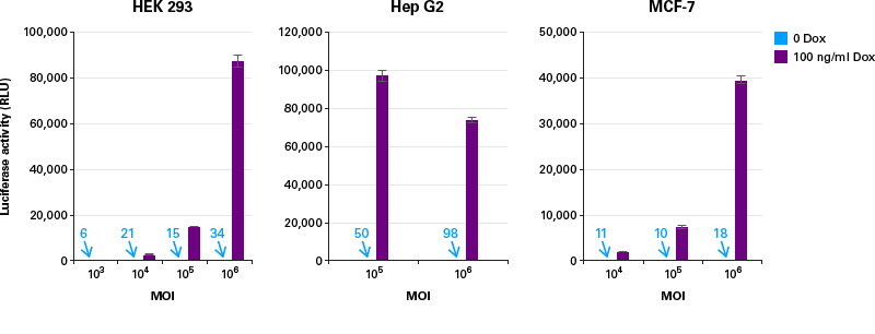 Tetracycline inducible expression—Tet-One systems Tetracycline inducible expression—Tet-One systems